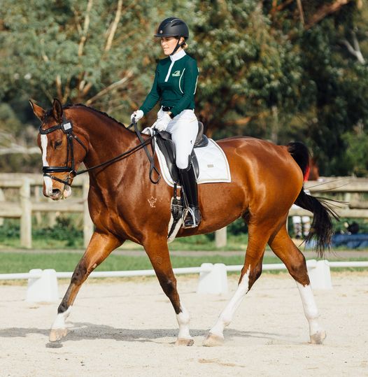 Exploring the World of Equestrian Disciplines: A Guide for Beginners i